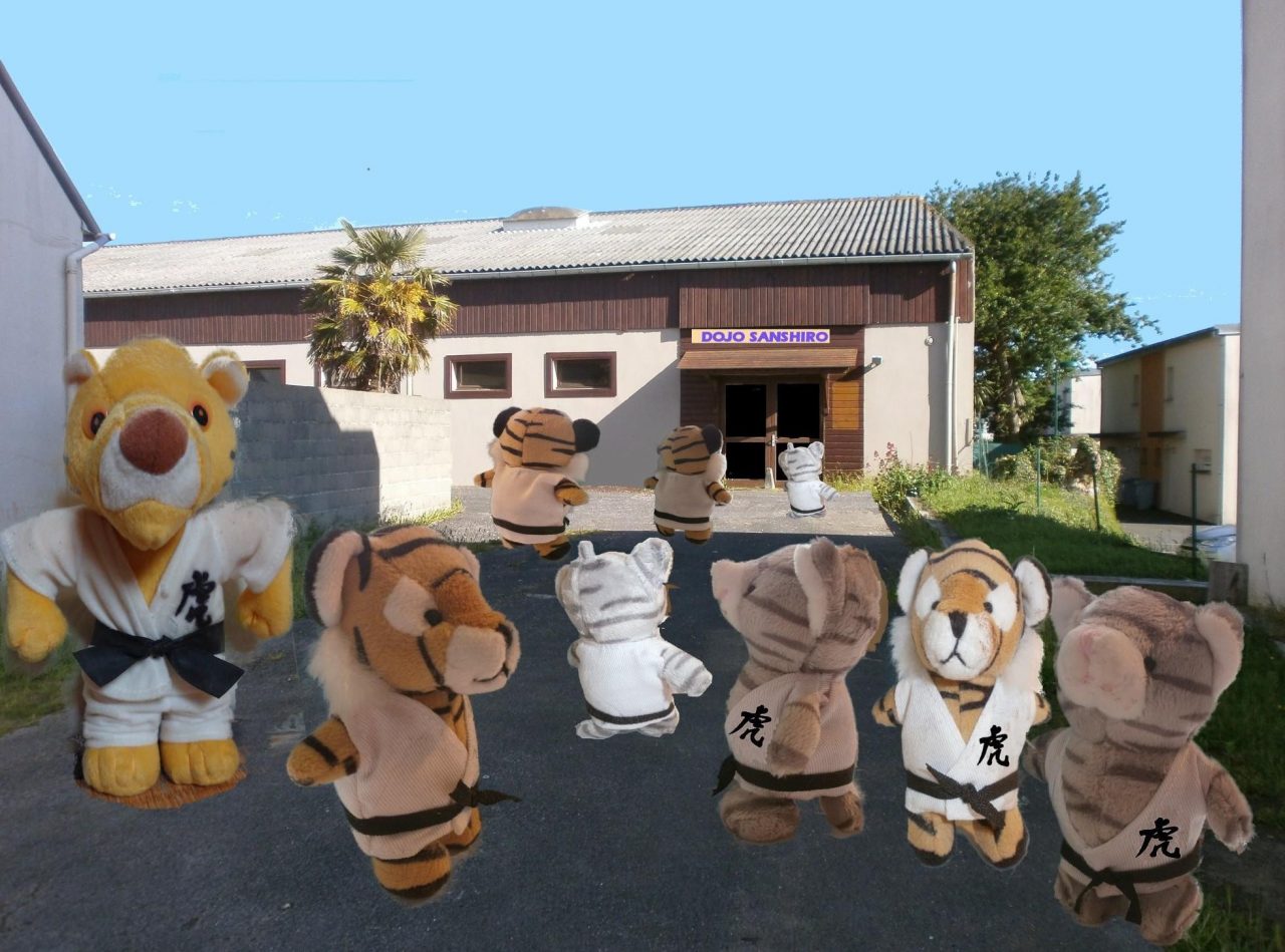 Contact | Dojo Sanshiro